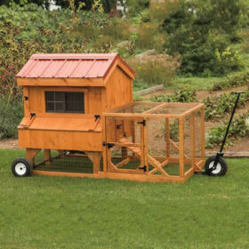 Welcome | Black Bear Sheds | Homepage - Black Bear Outdoor Structures